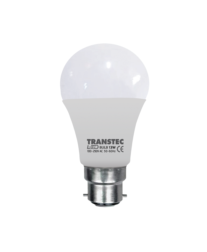 Transtec LED Light, Cold Day Light,13 Watt, E27 (Pach Type)
