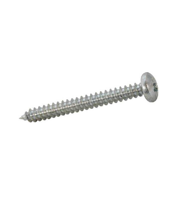 Screw 1 Inch