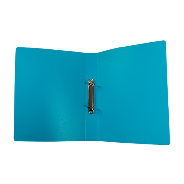 Good Luck Punch File, 2 Ring