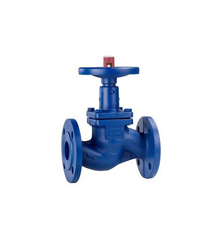 Steam Valve Bellow Seal Flange Type, 2 Inch