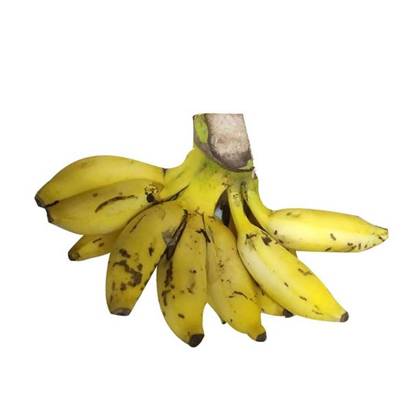 Chompa Kola (Banana Chompa), 1 Dozen
