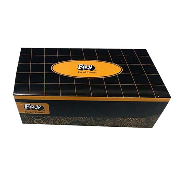 Fay Facial Tissue, 150x2 Ply Box