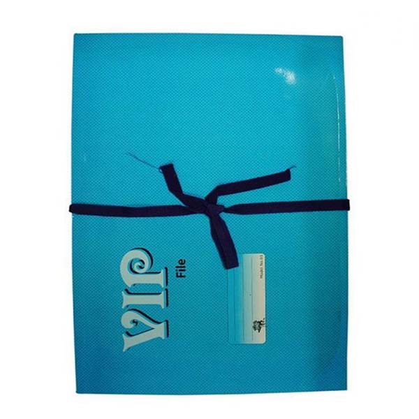 VIP Court File, Assorted Color